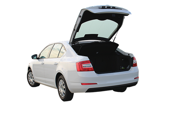 Biblical Meaning of the Name Octavia - Jesus Everyday